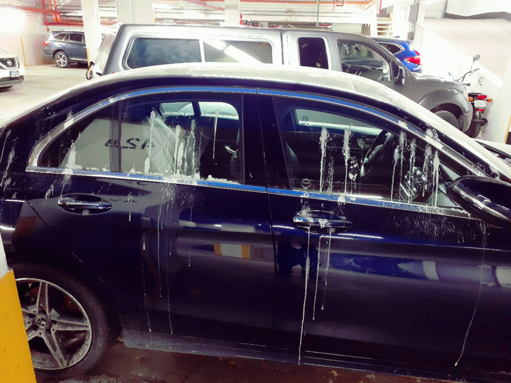 Garage Drip Removal – The Auto Groom